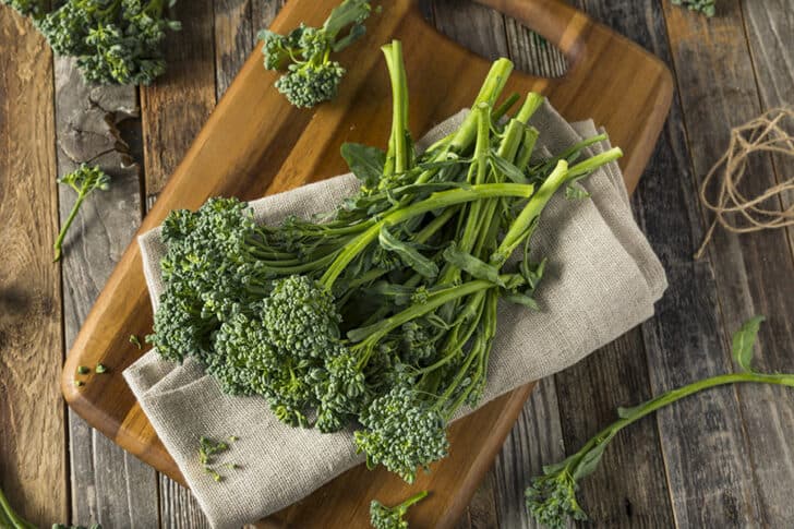 The Complete Guide to Fall Gardening: Making the Most of the Season