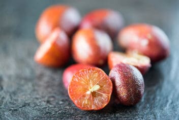 Growing Limes: Best Varieties, Planting Guide, Care, and Harvest