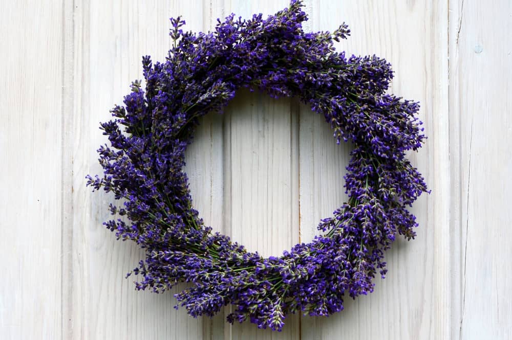 How to Dry Lavender at Home