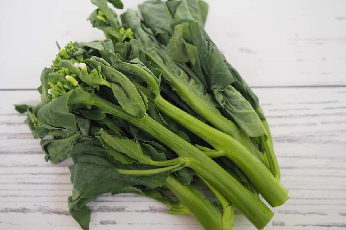 Growing Broccoli: The Complete Guide to Planting, Growing, and ...