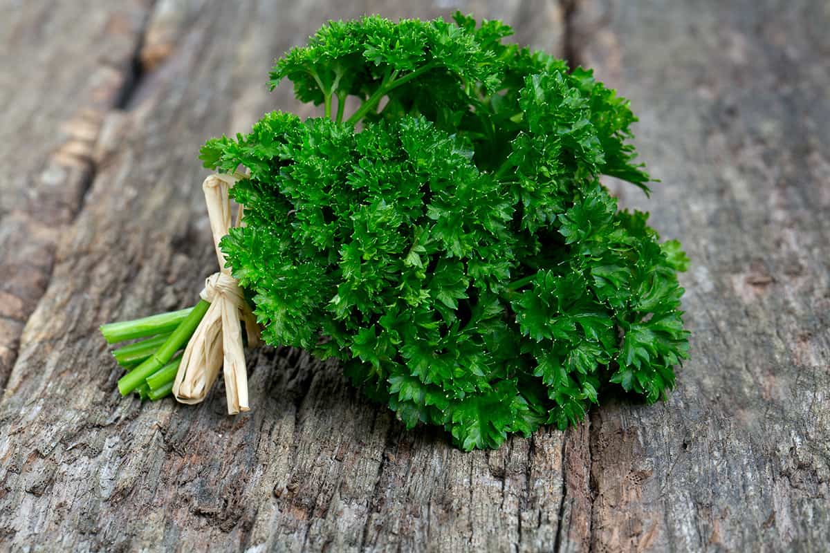 12 Herbs and Vegetables That Grow in the Snow