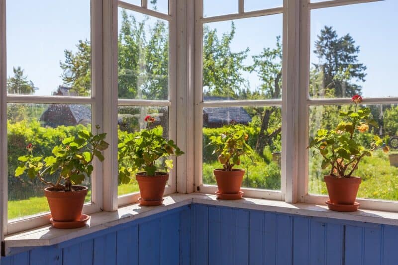 Try Indoor Landscaping to Grow Beautiful Plants Indoors All Year