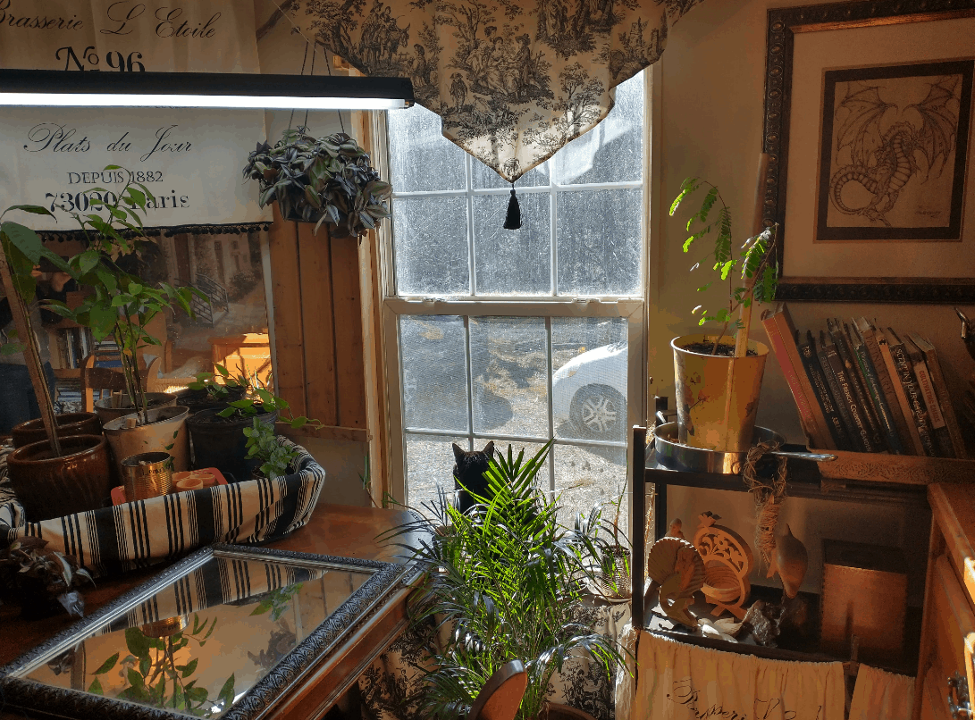 Try Indoor Landscaping to Grow Beautiful Plants Indoors All Year