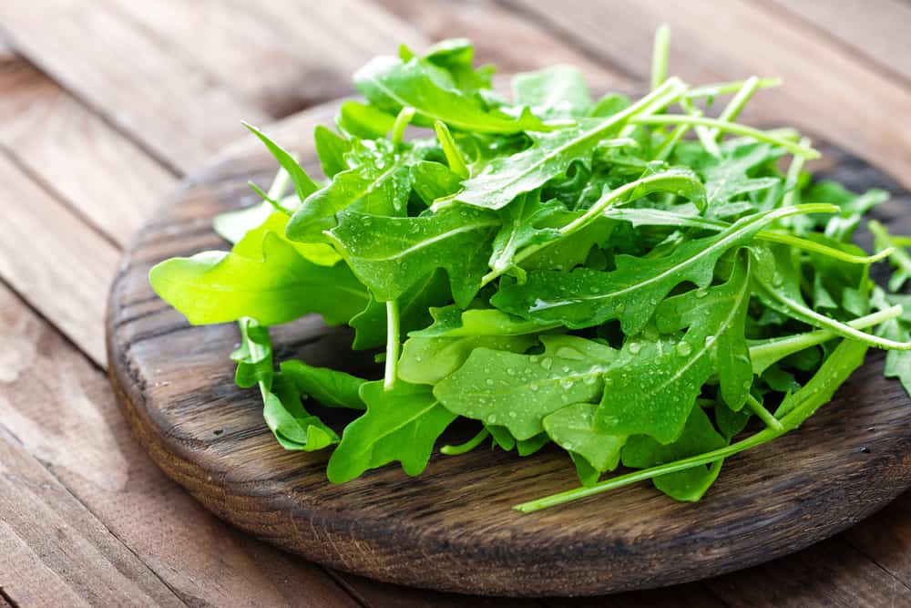 24 Newbie-Friendly Vegetables You Can Easily Grow Indoors