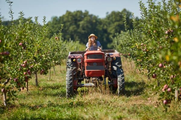 What to Consider When Getting a Tractor for Your Homestead
