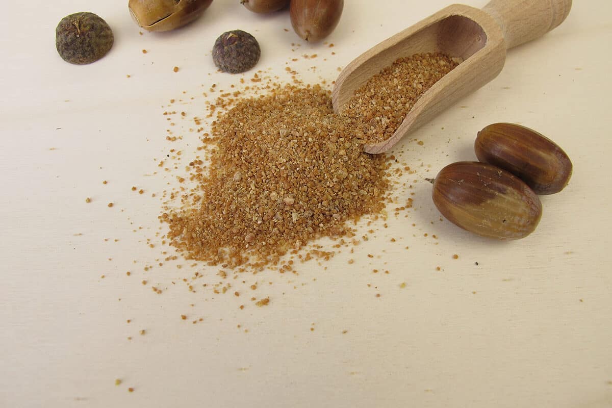 Wild Flours: 14 Wild Plants You Can Transform into Flour