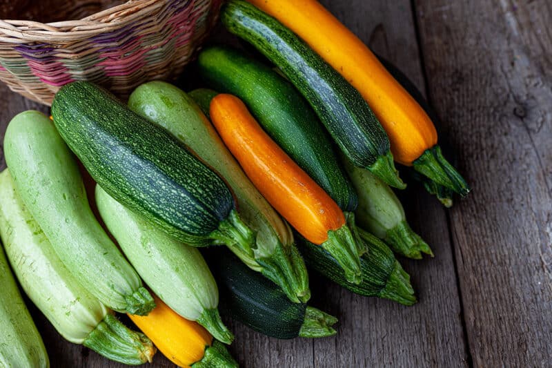 7 Tips to Get a Bigger Zucchini Harvest