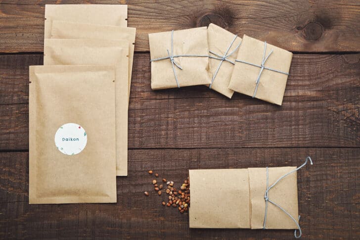 How to Harvest and Save Seeds from Your Garden