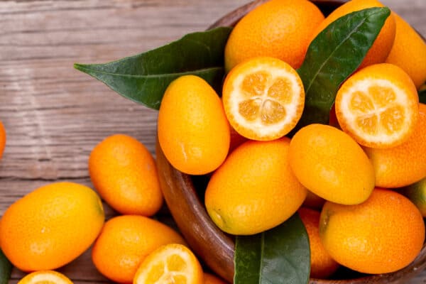 Winter Fruits List: 19 Delicious Fruits You Can Eat & Grow in Winter