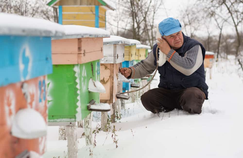 Caring For Your Beehives During the Winter