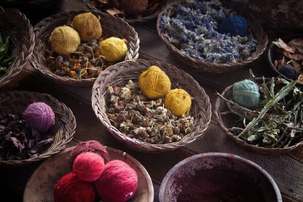 40 Common Plants You Can Forage to Dye Yarn