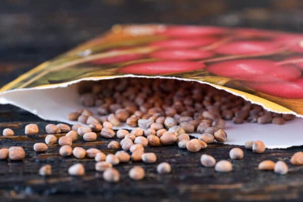 13 Tips for Starting An Organic Vegetable Garden by Seed