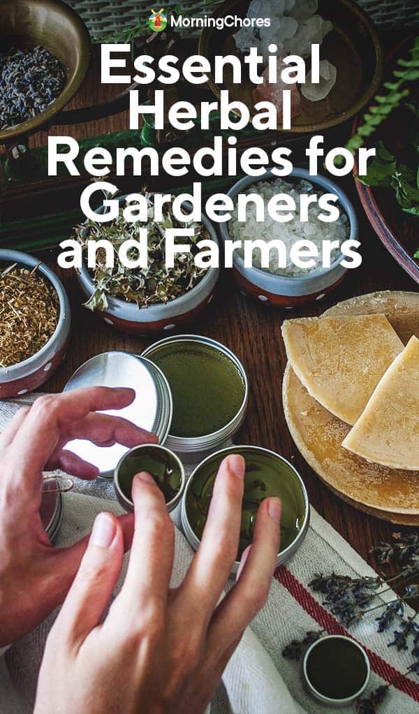 8 Essential Herbal Remedies for Gardeners and Farmers