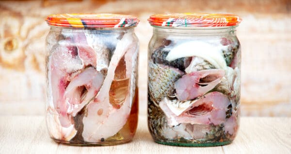 The Complete Guide to Safely Canning Seafood to Make it Last