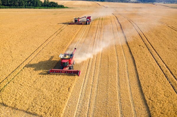 Understanding Monoculture and Why It's Bad