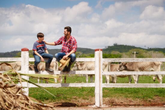 How To Use Social Media To Promote Your Farm or Homestead