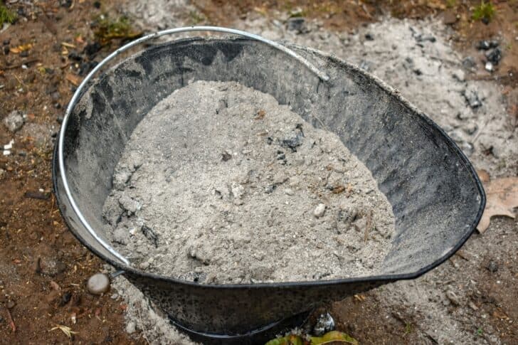 Plant Nutrients 101: A Guide to the Necessary Plant Nutrients