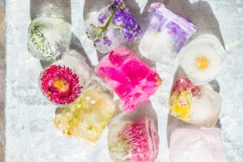 How to Make Ice Art to Liven Up Your Winter