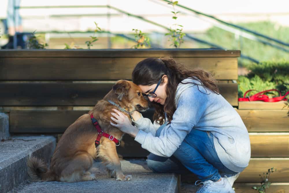 What to Know About Emotional Support Animals (and Which is Best For You)