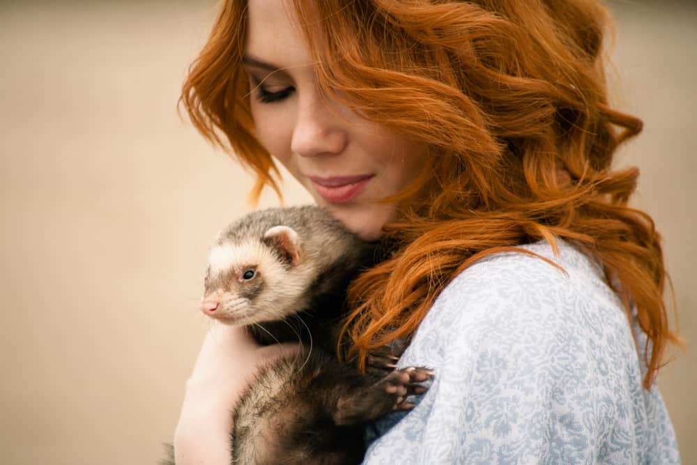 What to Know About Emotional Support Animals (and Which is Best For You)