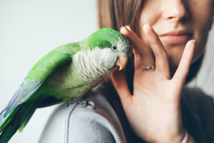 What to Know About Emotional Support Animals (and Which is Best For You)
