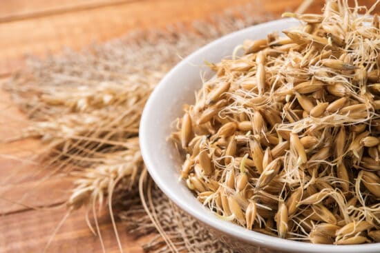 5 Fodder Types Explained and How to Know Which You Should Use