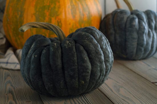 20 Unusual Pumpkin Varieties to Cultivate at Home