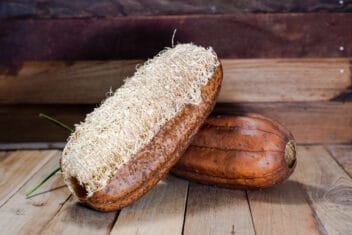 How to Grow Luffa Gourds to Create Your Own Sponges
