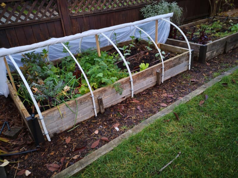 How to Use Low Tunnels to Extend Your Growing Season