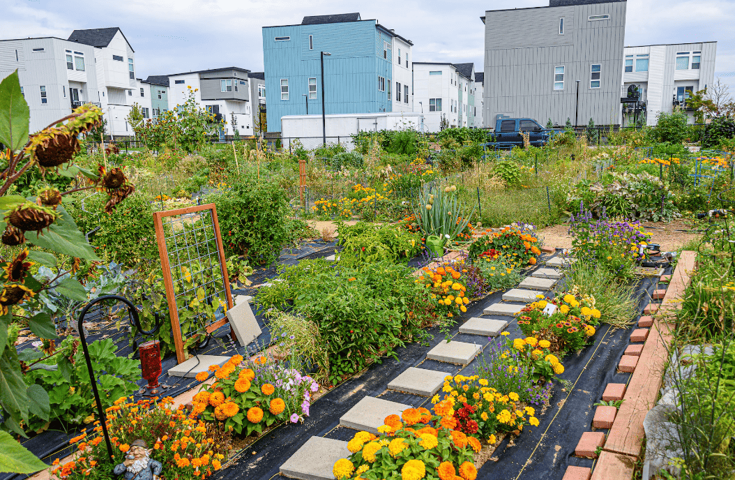 Improve Your Food Security with These 12 Tips