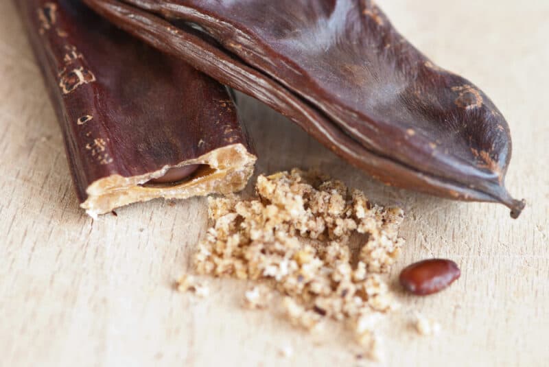 Carob Trees: All the Tips You Need for Successfully Growing Carob Trees