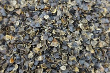 How to Make Your Own Comfortable Buckwheat Pillows