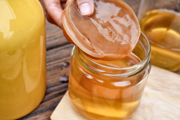 8 Recipes for Kombucha SCOBY Skin Care and Hair Care
