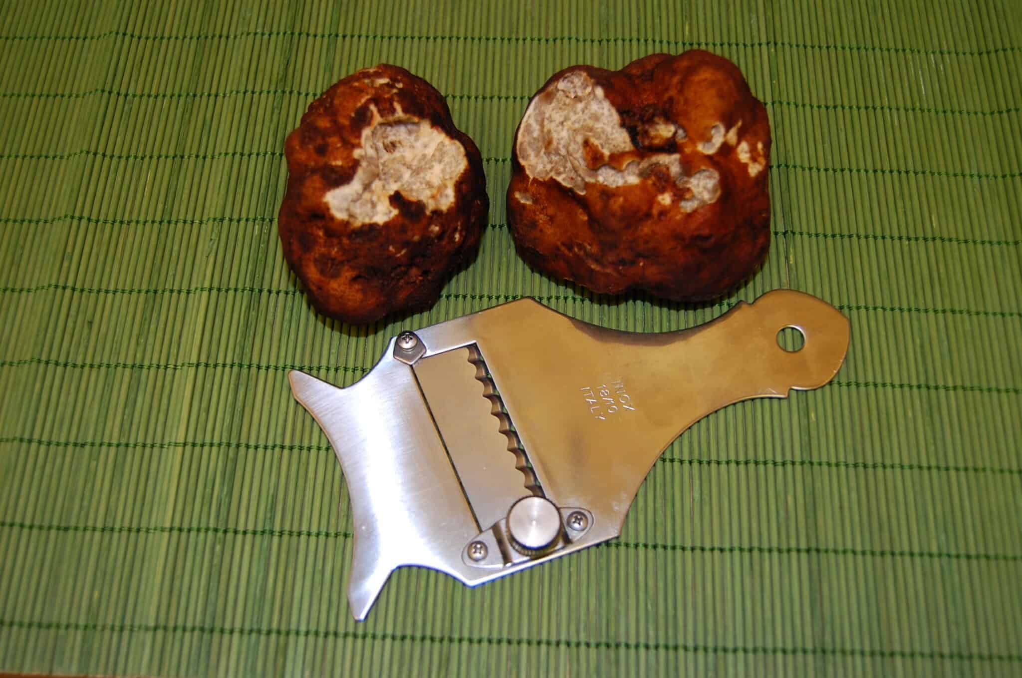 Truffle Hunting: The Complete Guide to Locating These Treasured Treats