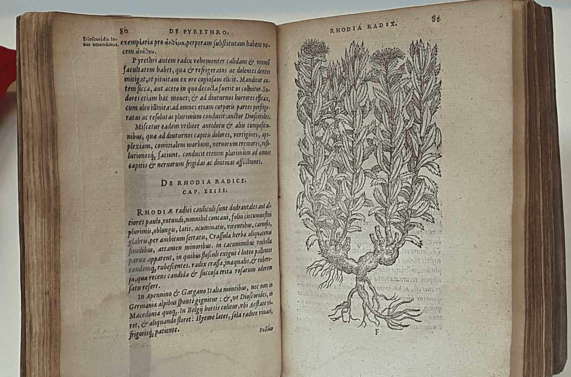 A Comprehensive List of Homestead Herbal Medicine Books