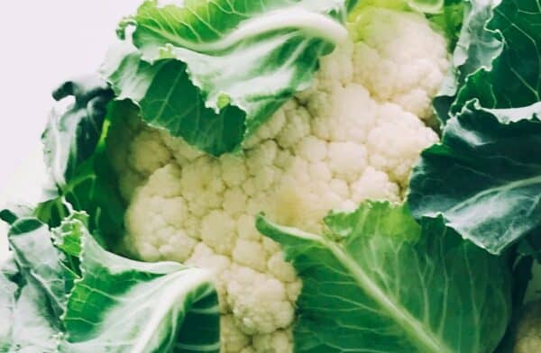 Cauliflower Head Disorders: 12 Causes and Treatments