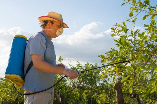 Citrus Scale: How to Identify and Control This Pest