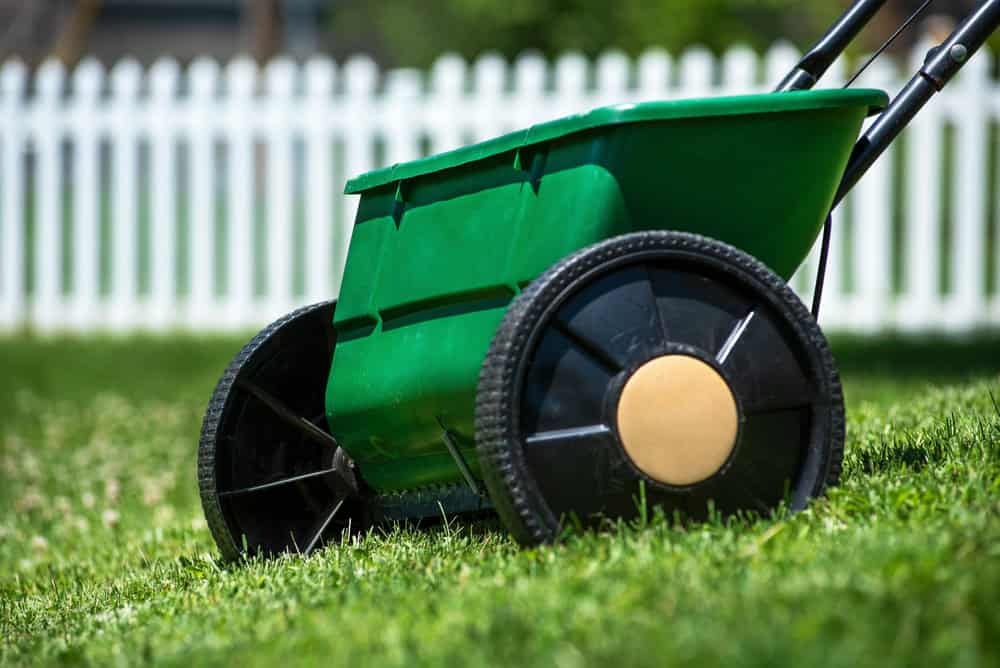 Lawn Lime: When, Why, and How to Add Lime to Your Grass