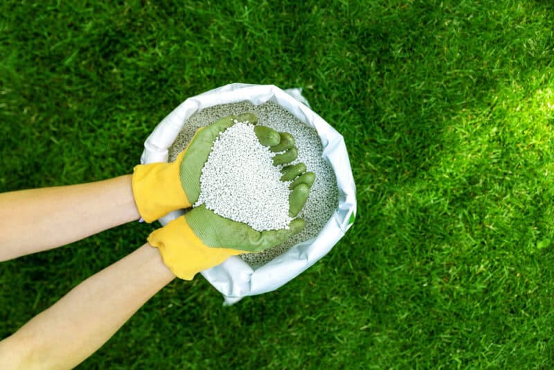Lawn Lime: When, Why, and How to Add Lime to Your Grass