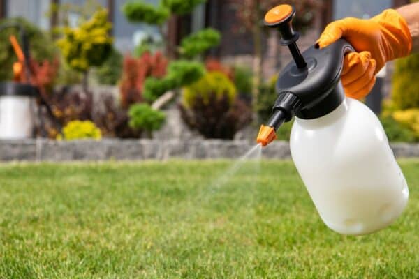 Lawn Lime: When, Why, and How to Add Lime to Your Grass