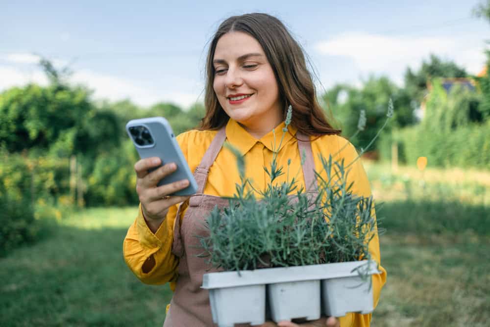 8 Best Online Garden Planners for the 2024 Growing Season